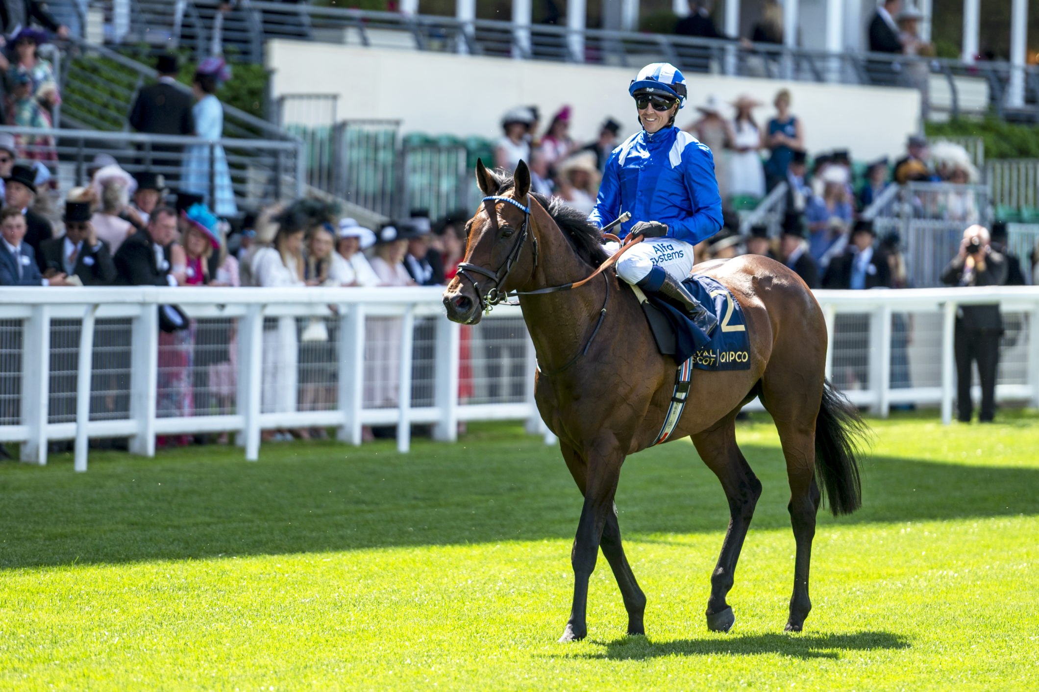 Best of the Best Get Set For Champions Day - Great British Racing