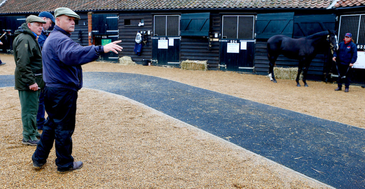 How To Buy A Racehorse - Great British Racing