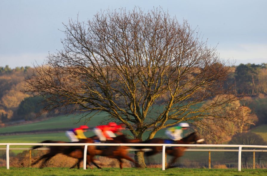 My Local Racecourse - Taunton - Great British Racing