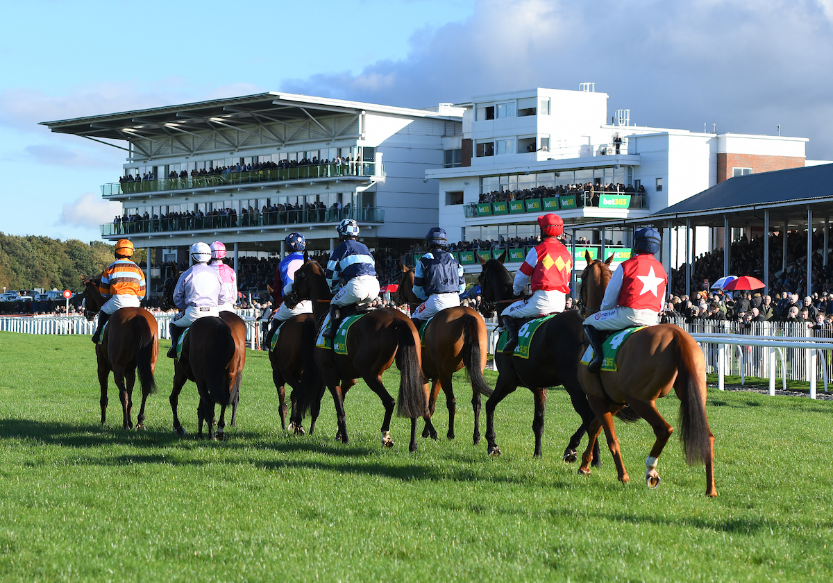 My Local Racecourse - Wetherby - Great British Racing