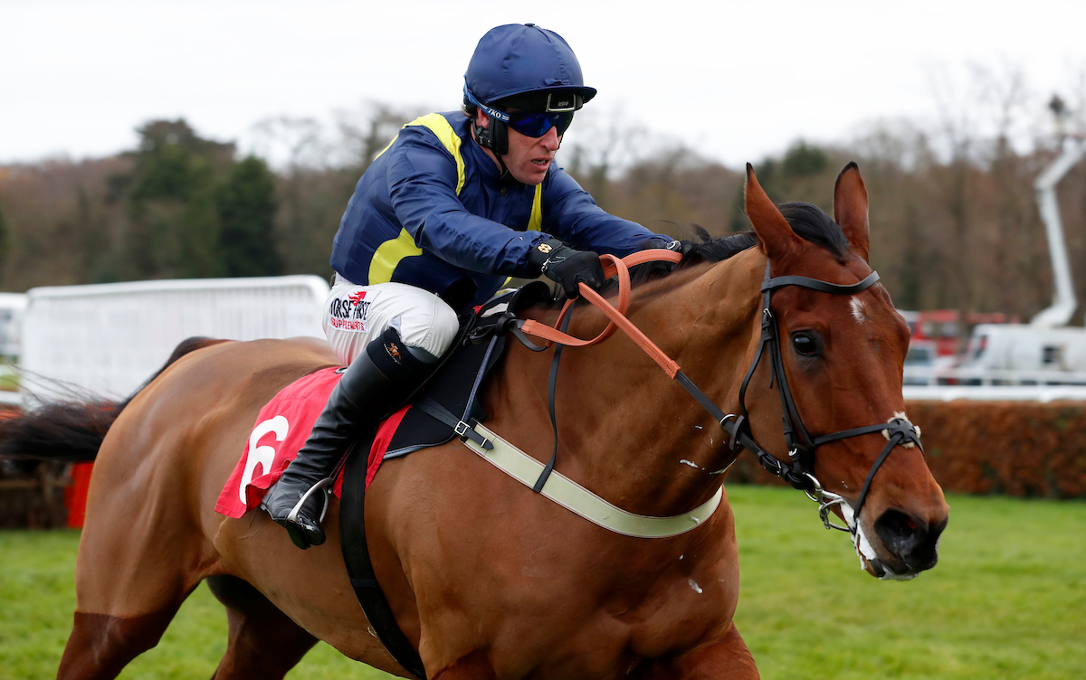 Up For The Coral Gold Cup! Newbury Showpiece to Savour - Great British ...