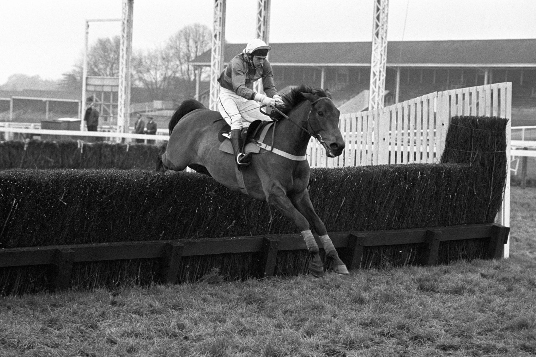 The Best Jump Horses Of All Time - (N-Z) - Great British Racing