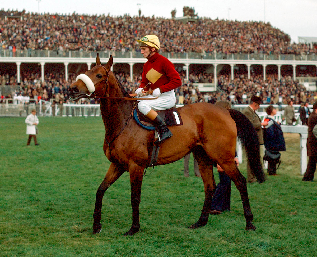 The Best Jump Horses Of All Time - (N-Z) - Great British Racing