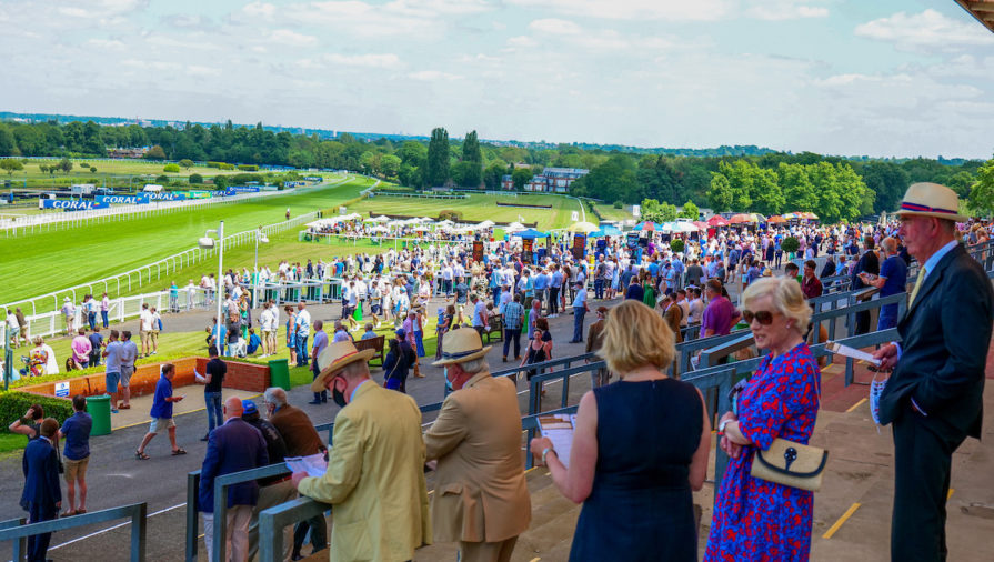 November Racing Highlights - Great British Racing