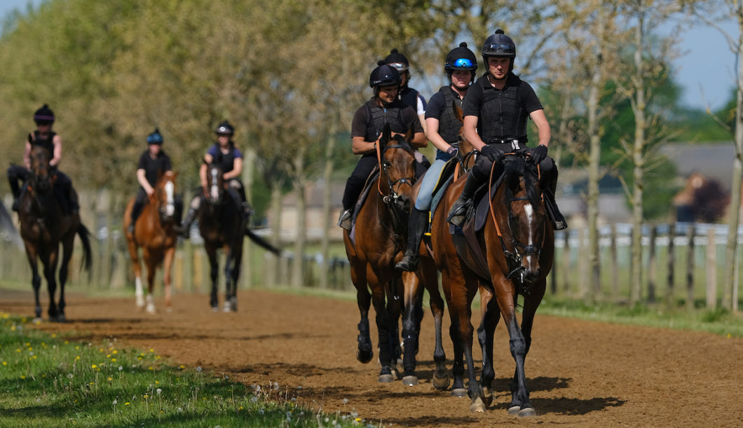 The Equine Fitness Plan - How racehorses get fit - Great British Racing