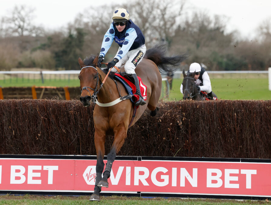 What's On This Week? - Following The Cheltenham Stars - Great British ...