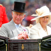 In The Spotlight | Love The Racehorse with Sam England - Great British ...