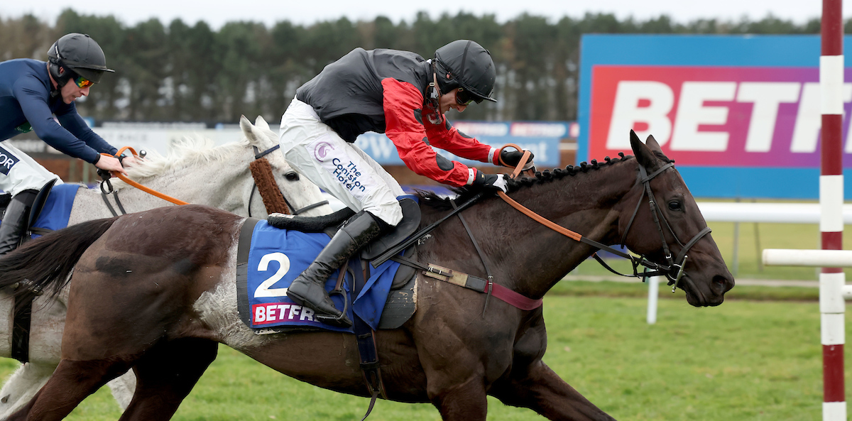 Harry Bannister is the February Jockey of the Month - Great British Racing