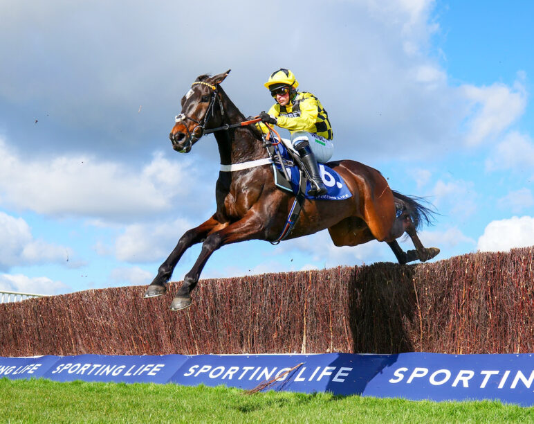 All Four Days At Cheltenham Explained In 60 Seconds - Great British Racing