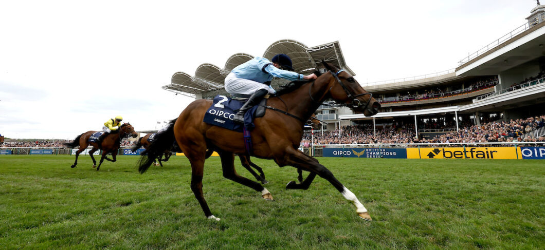 What's On This Week? - Scottish Grand National - Great British Racing