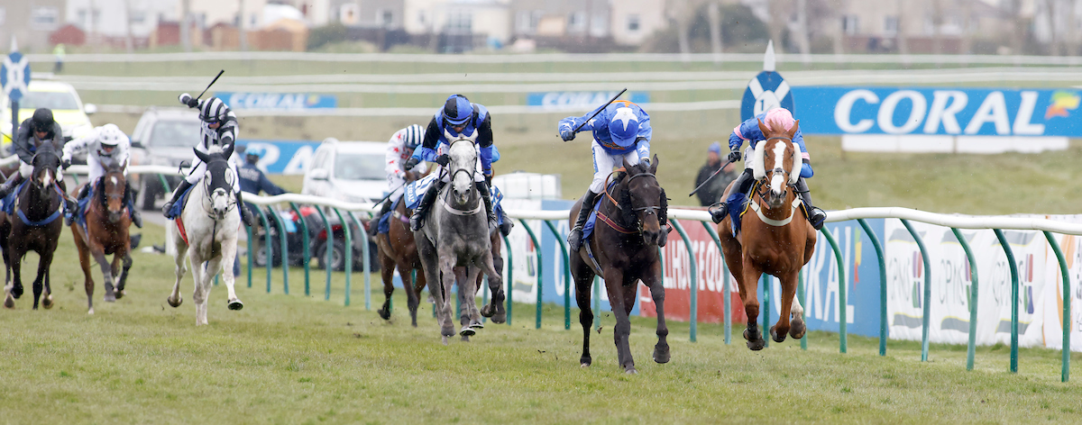 What's On This Week? - Scottish Grand National - Great British Racing