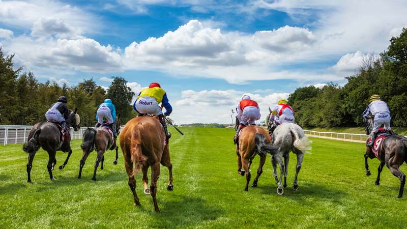 Music Nights At The Races - Great British Racing