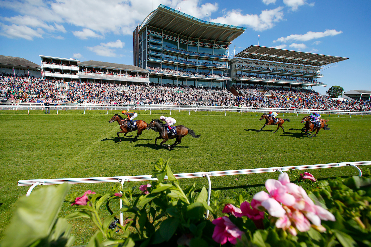 What's On This Week? - Exceptional York - Great British Racing
