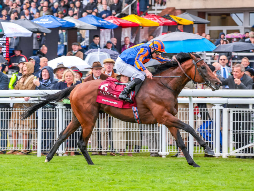 A Guide To The York Ebor Festival - Great British Racing