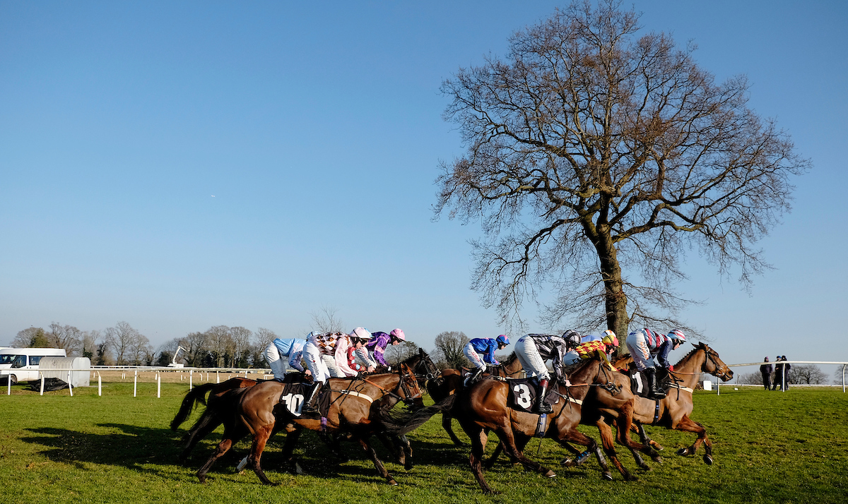 Premier Raceday Time Again at Plumpton - Great British Racing