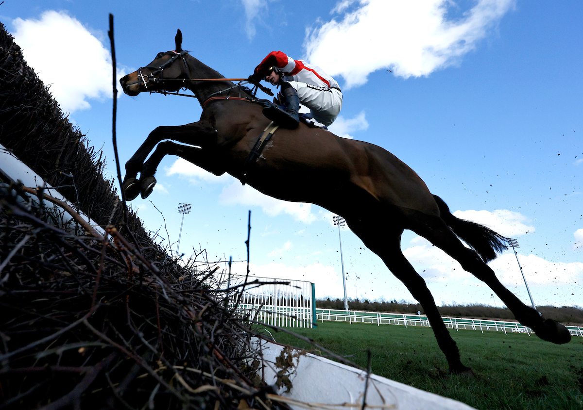 The Young Champion - Patrick Wadge - Great British Racing