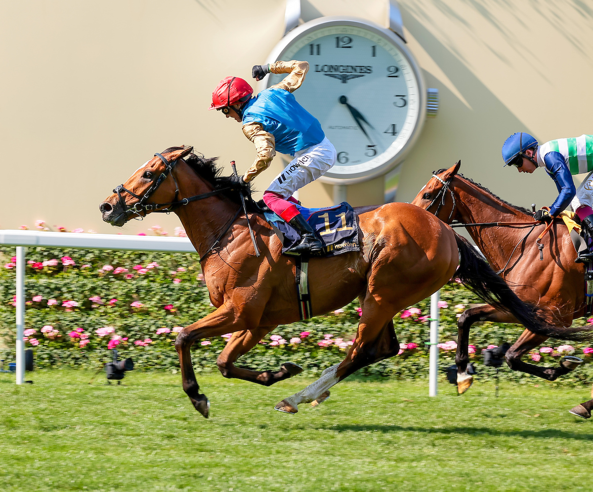 Your Guide to Royal Ascot - Great British Racing