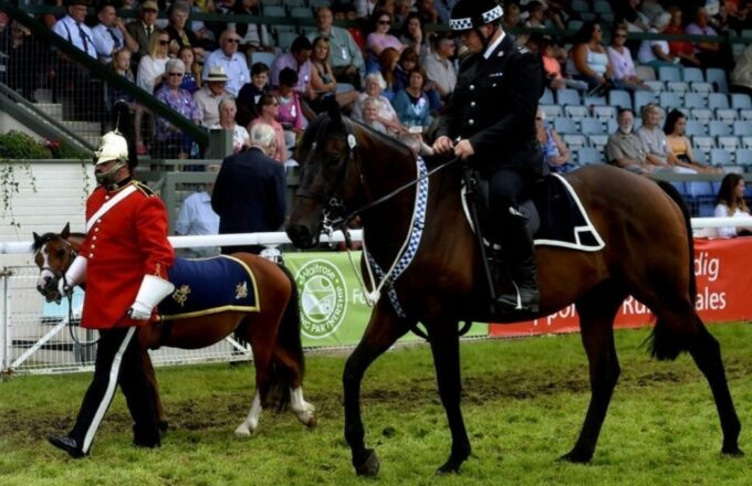 In The Spotlight | Love The Racehorse with Sam England - Great British ...