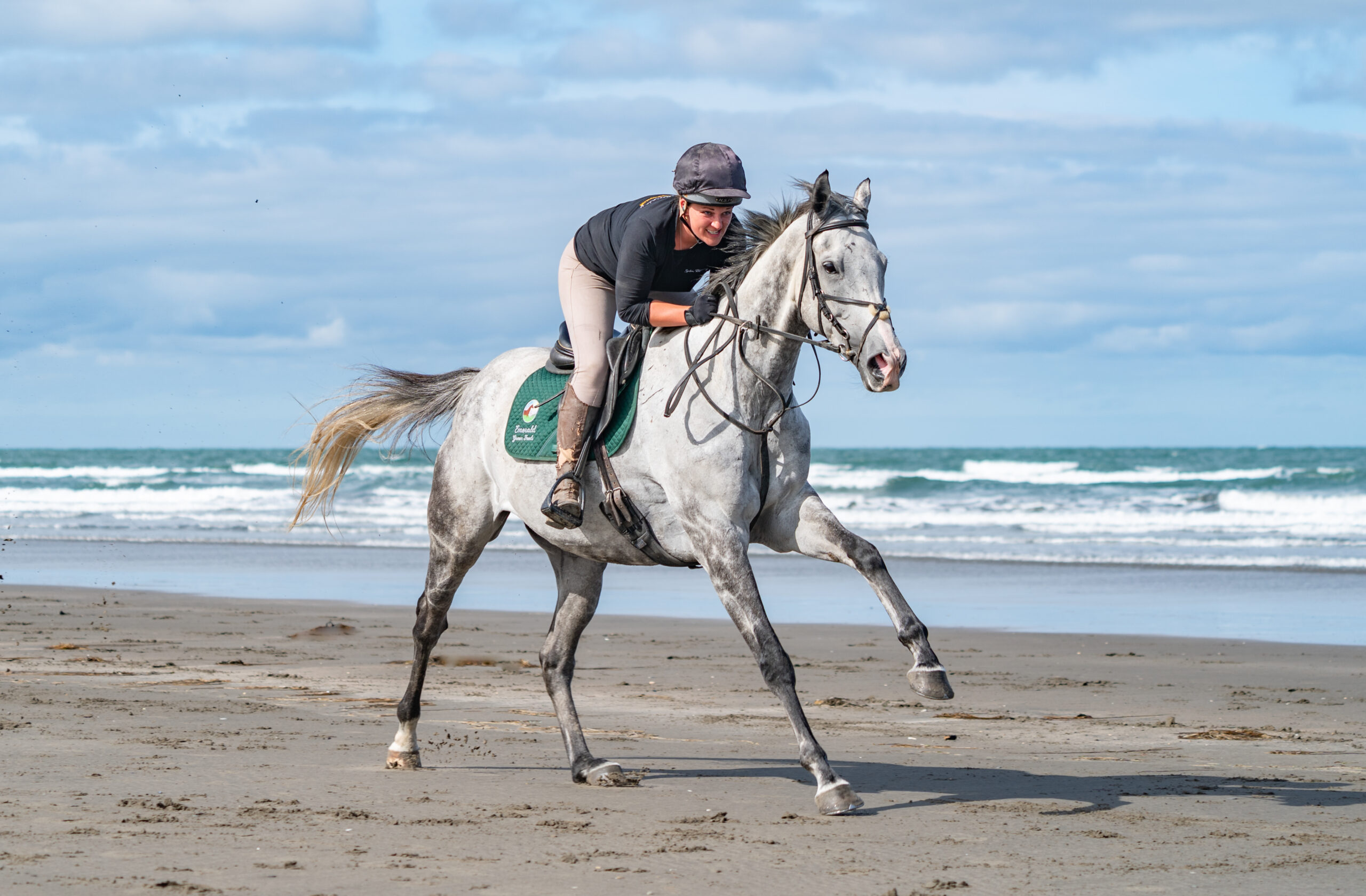 Learn About Life After Racing This National Racehorse Week - Great ...