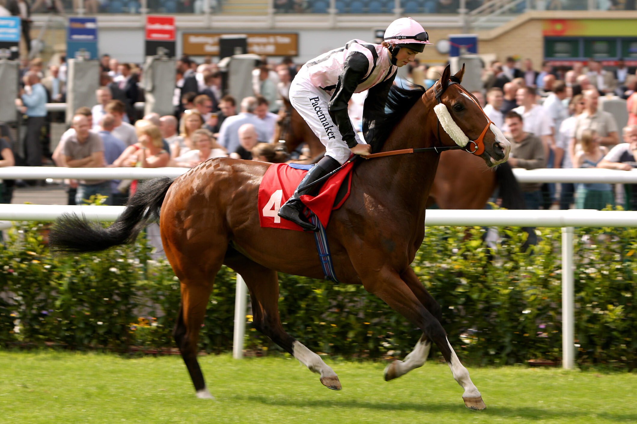 The Best Christmas Racehorse Names - Great British Racing