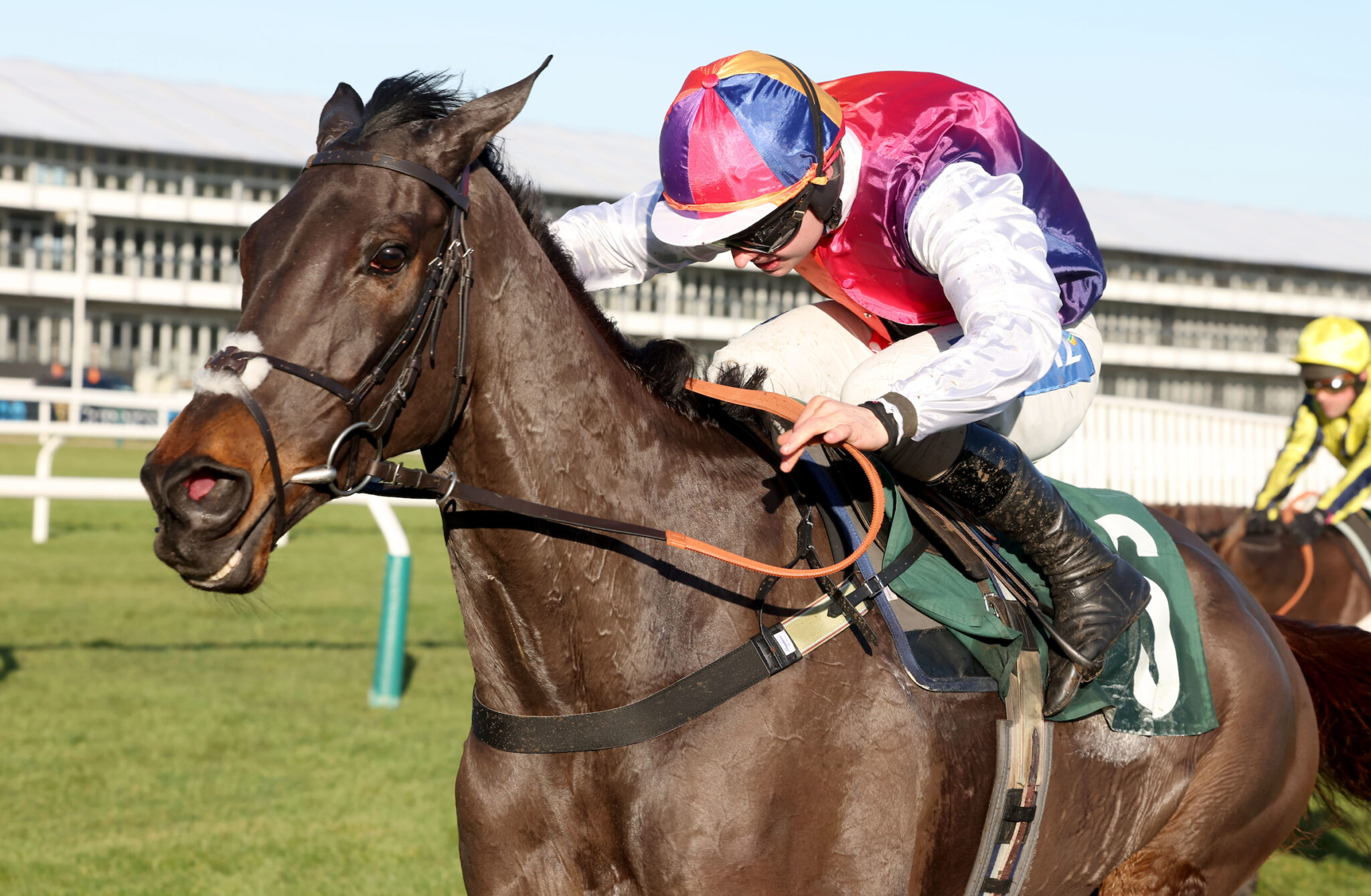 From the Canvas to the Championship - Sean Bowen - Great British Racing