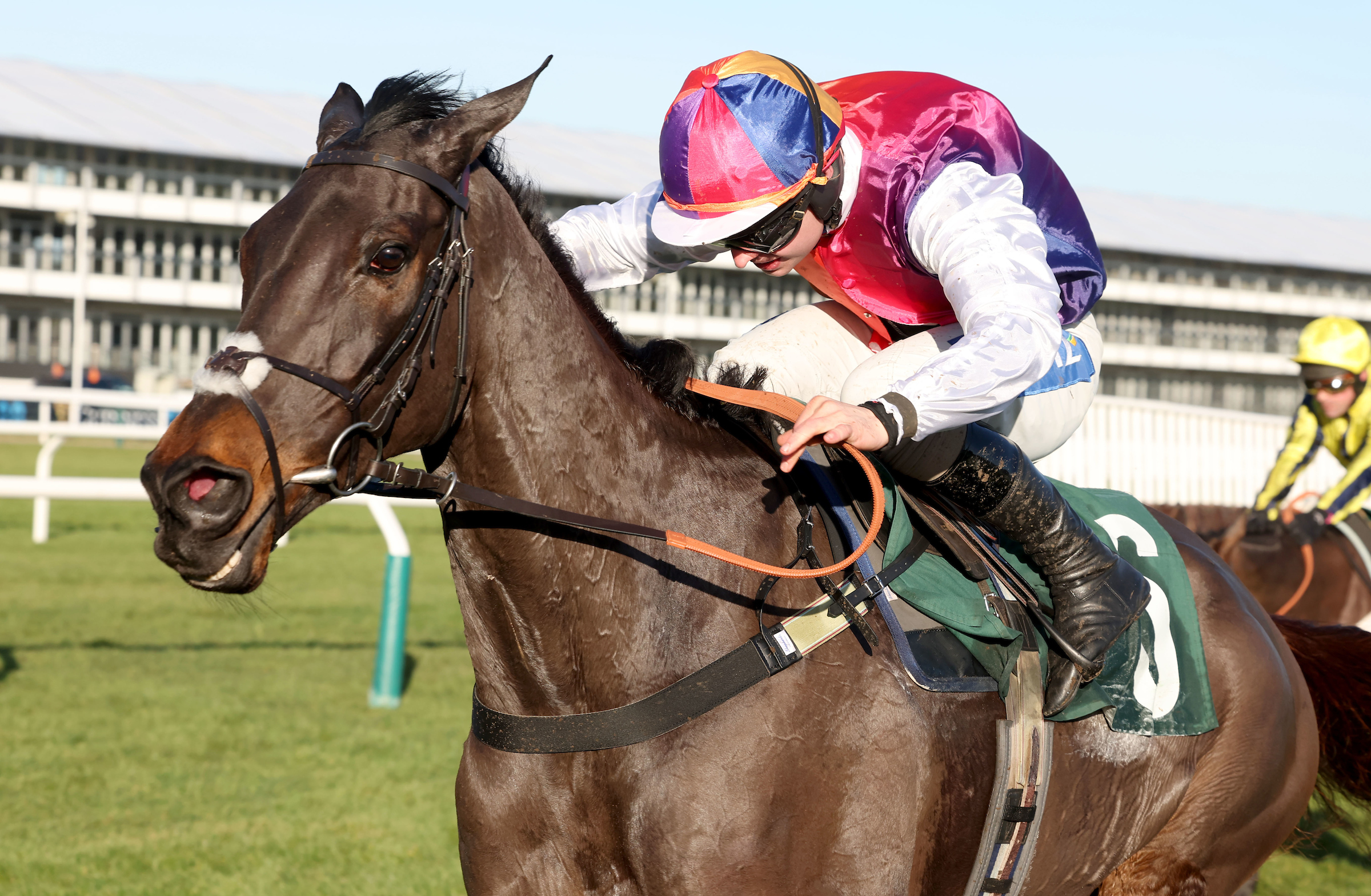 From the Canvas to the Championship - Sean Bowen - Great British Racing